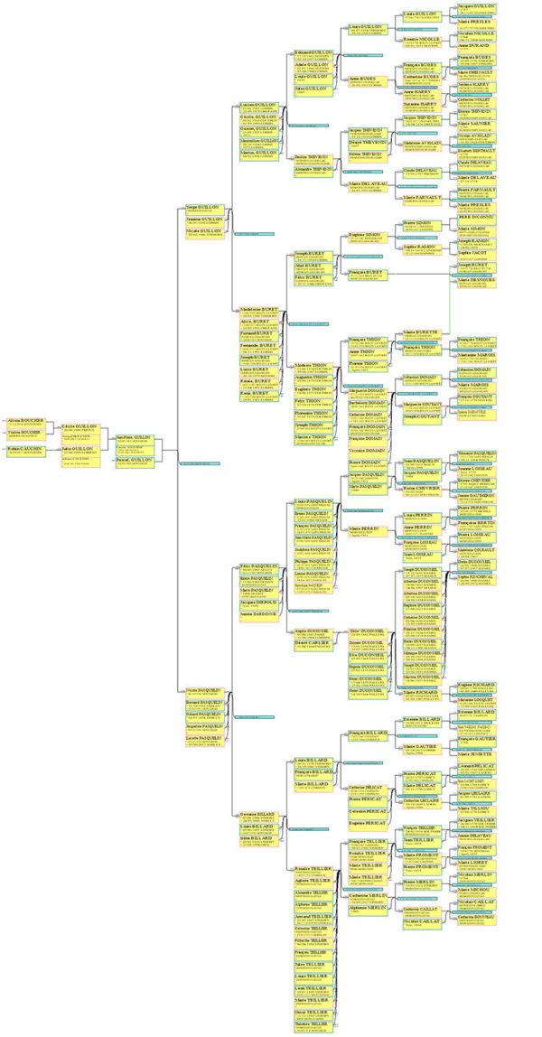 WinTree logiciel pour imprimer des arbres... - Généalogie Garde du Voeu